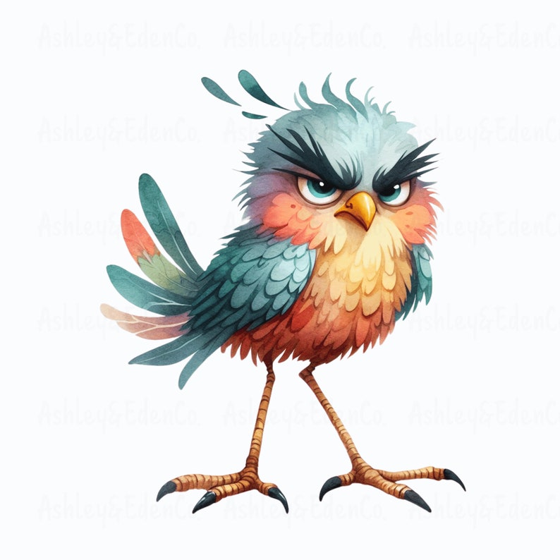 18 Grumpy Birds Clipart, Funny, Angry Birds, Digital Clipart ...