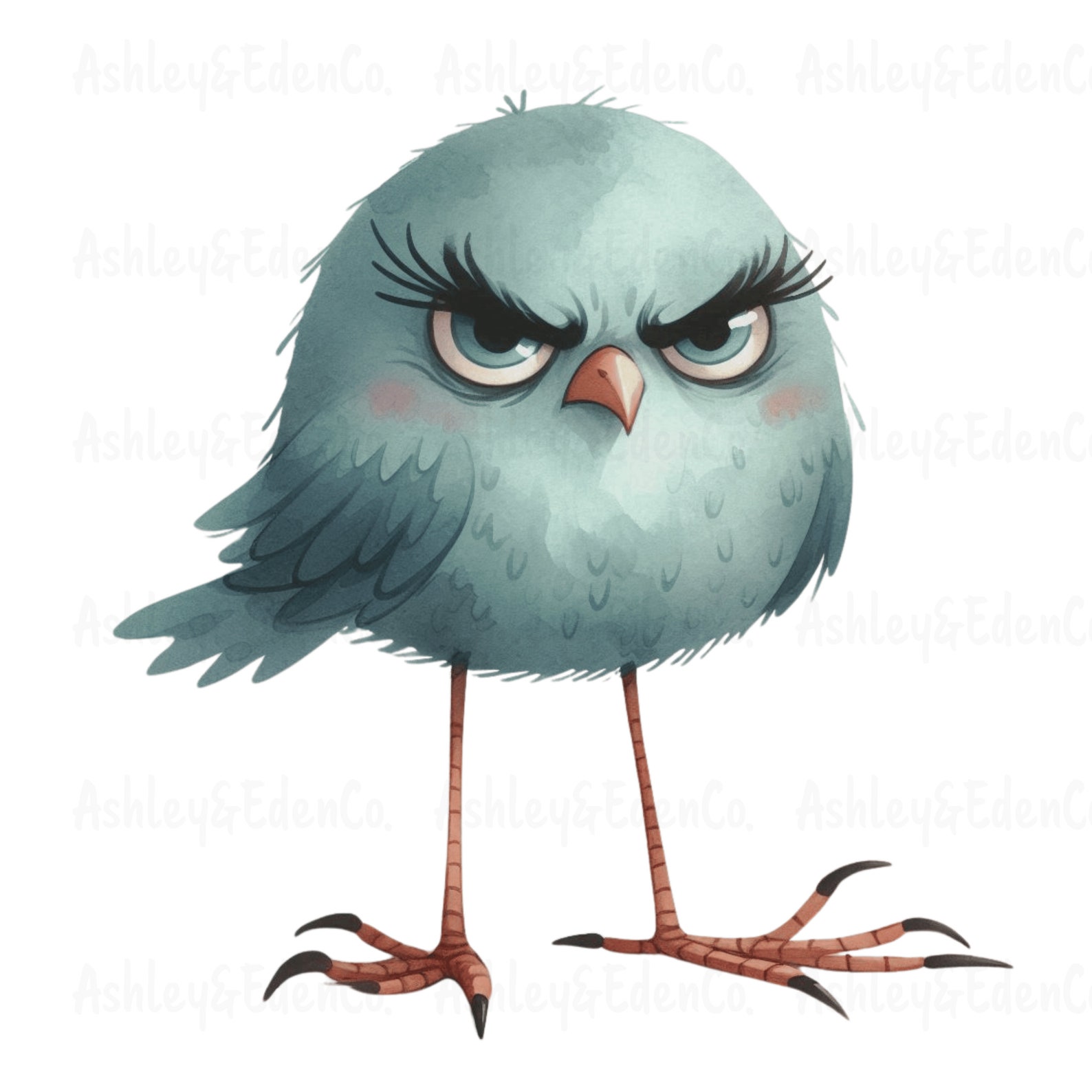 18 Grumpy Birds Clipart, Funny, Angry Birds, Digital Clipart ...