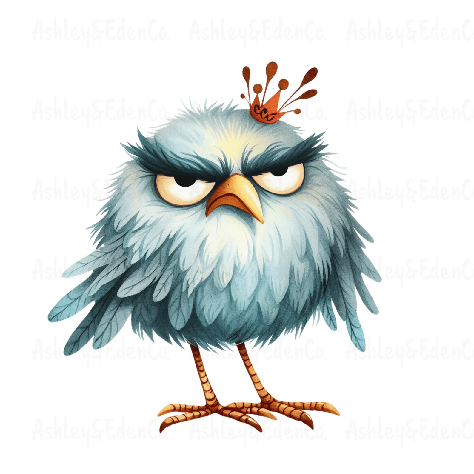 18 Grumpy Birds Clipart, Funny, Angry Birds, Digital Clipart ...