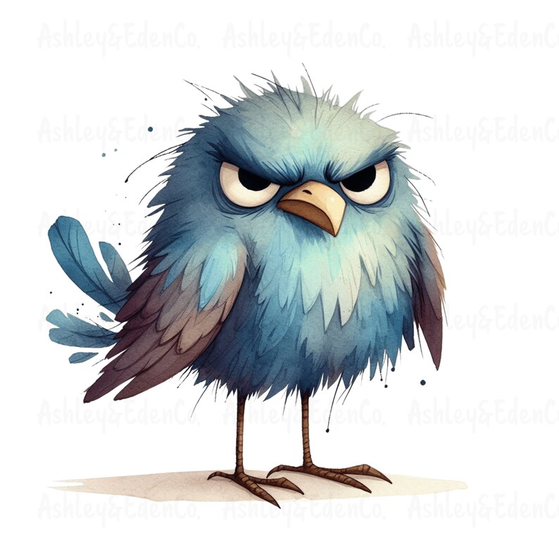 18 Grumpy Birds Clipart, Funny, Angry Birds, Digital Clipart ...