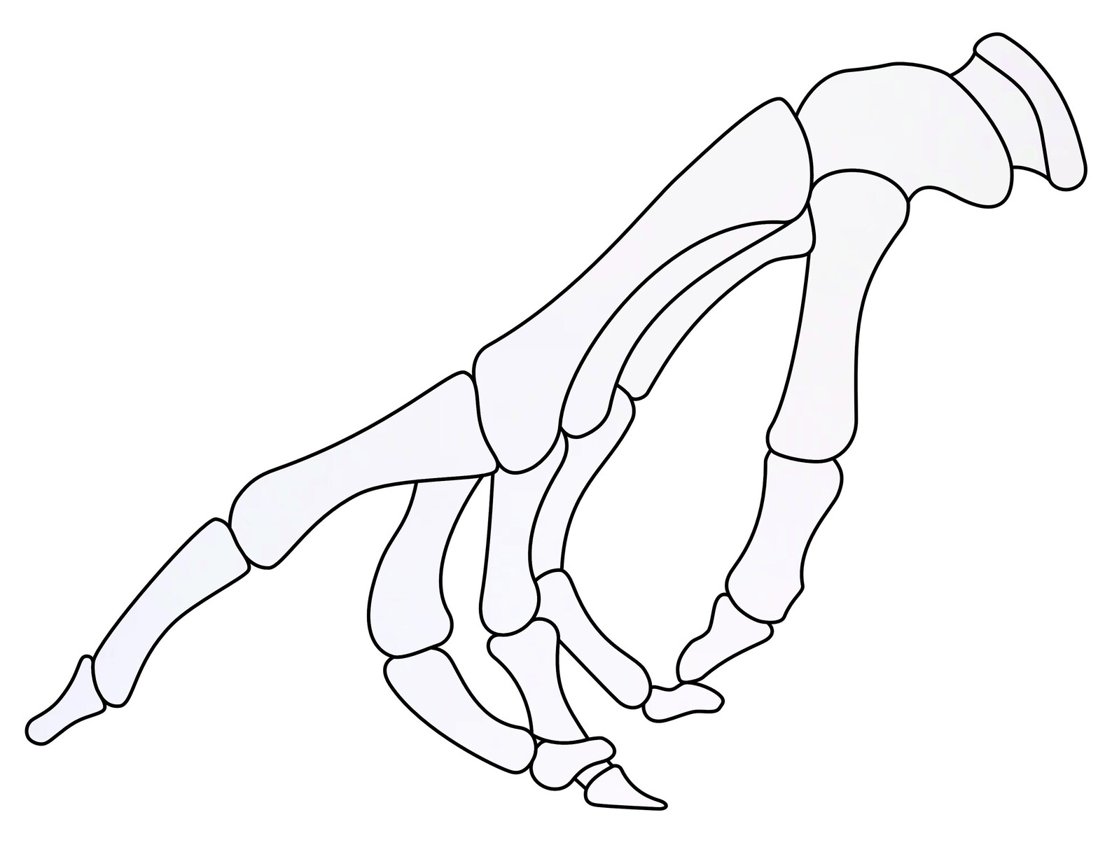 Skeleton Hand Stained Glass Pattern. Halloween Art for Halloween and ...