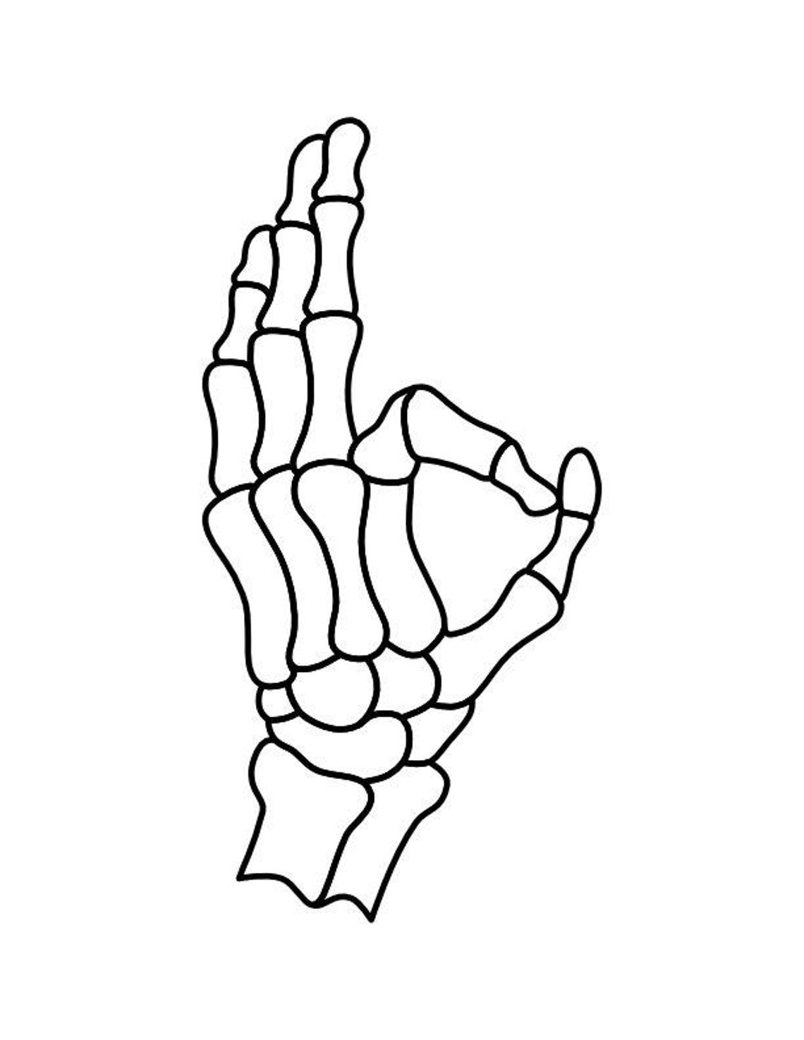 A Skeleton Hand With Long, Thin Bones Forms the "ok" Gesture, the Thumb ...