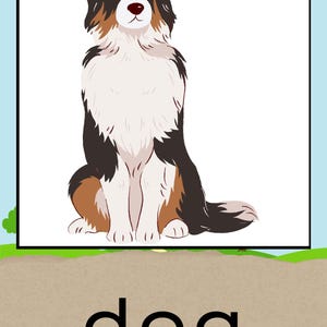 Printable 'farm Animals' Flash Cards (9 Cards) - Etsy