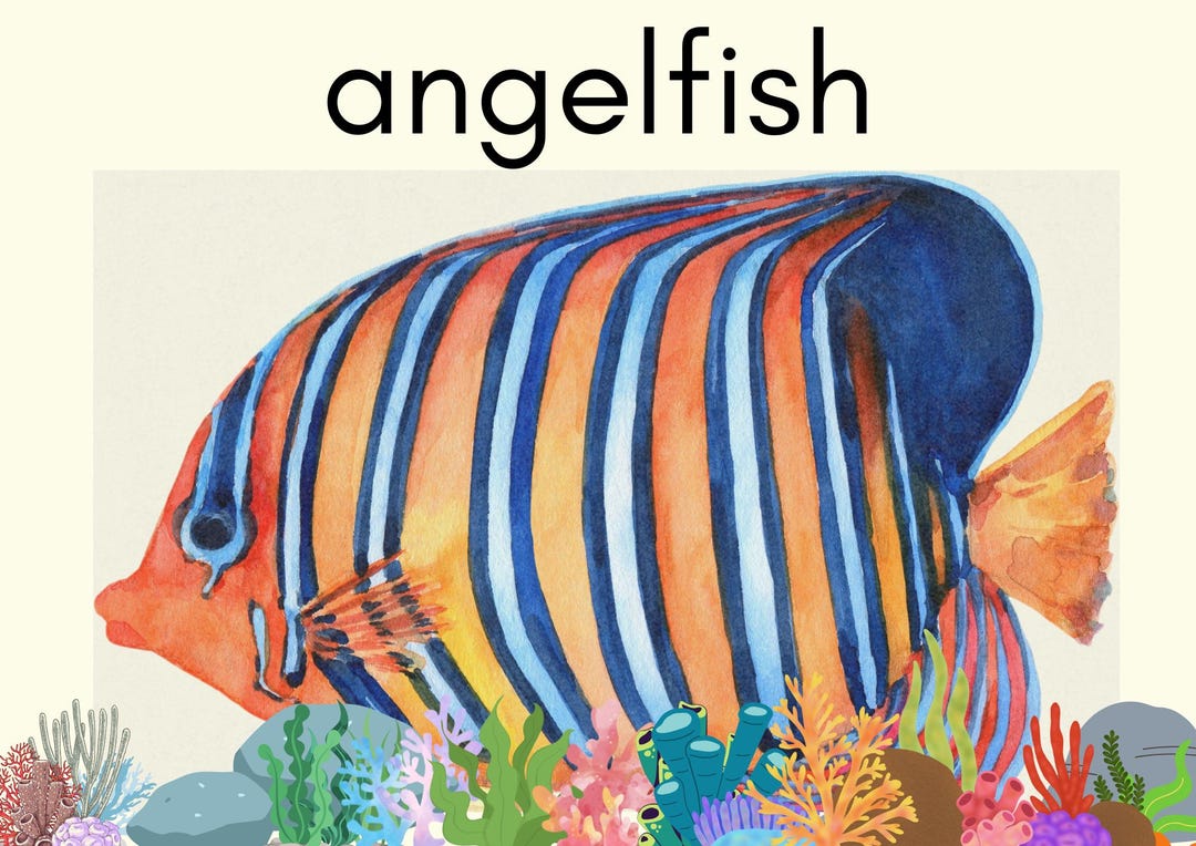 Printable 'ocean Animals' Flash Cards (15 Cards) - Etsy