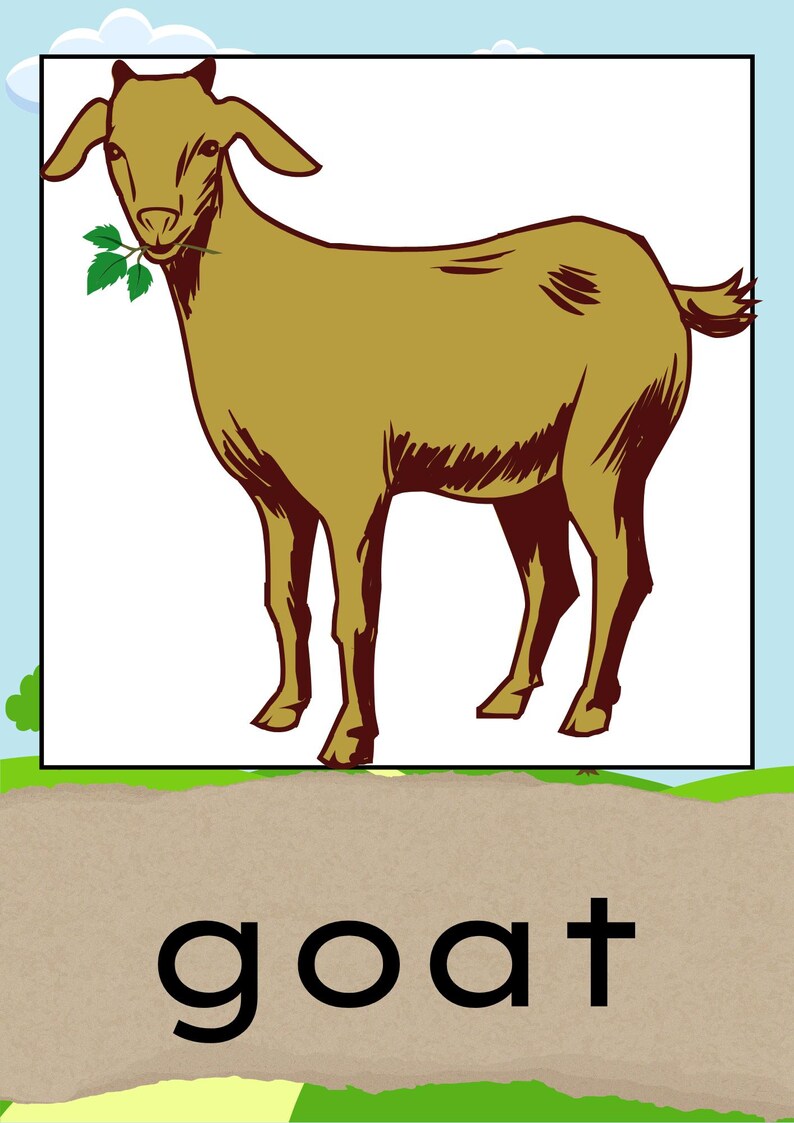 Printable 'farm Animals' Flash Cards (9 Cards) - Etsy