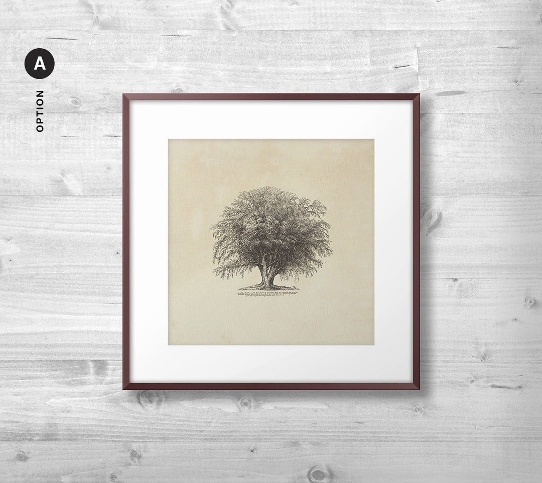 Tree Block Prints Framable • Various Sizes for Different Spaces • Great ...