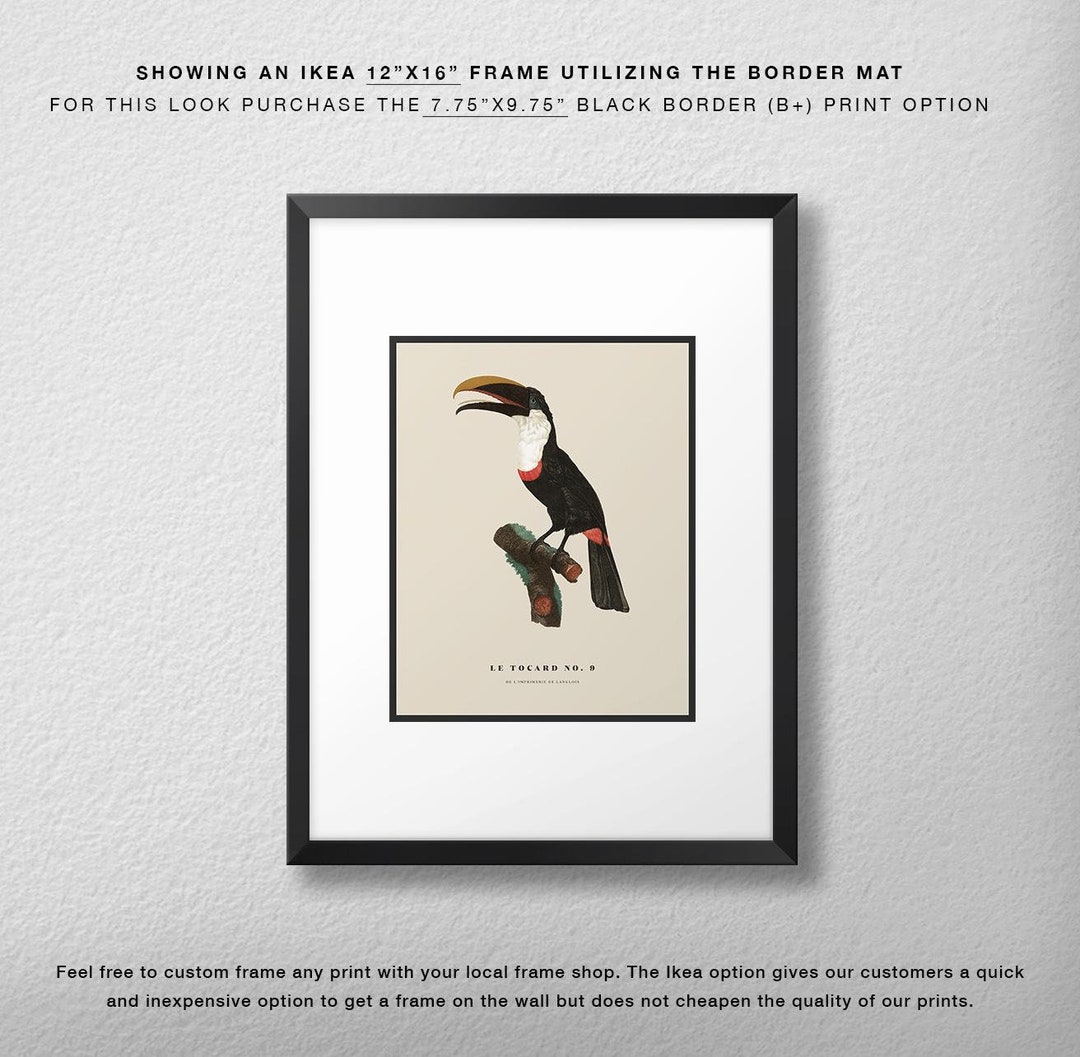 Toucan Framable Print No. 9 • Various Sizes • Print Set • Great Gift ...