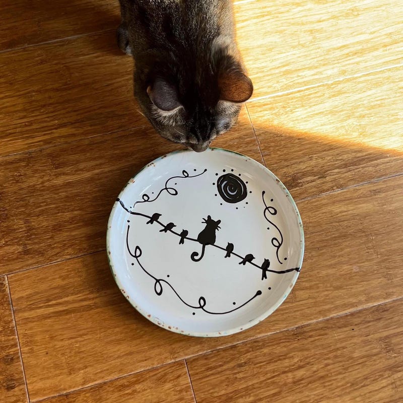 Cute Food Plate for Cat - Etsy