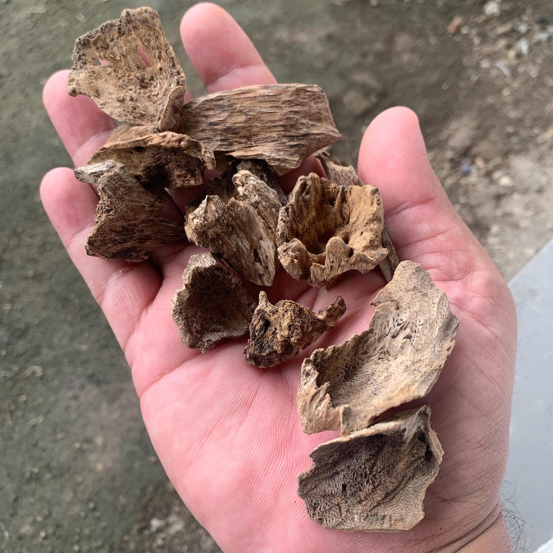 Agarwood Oud Aloes Wood Englewood 50 Grams C4 - Etsy