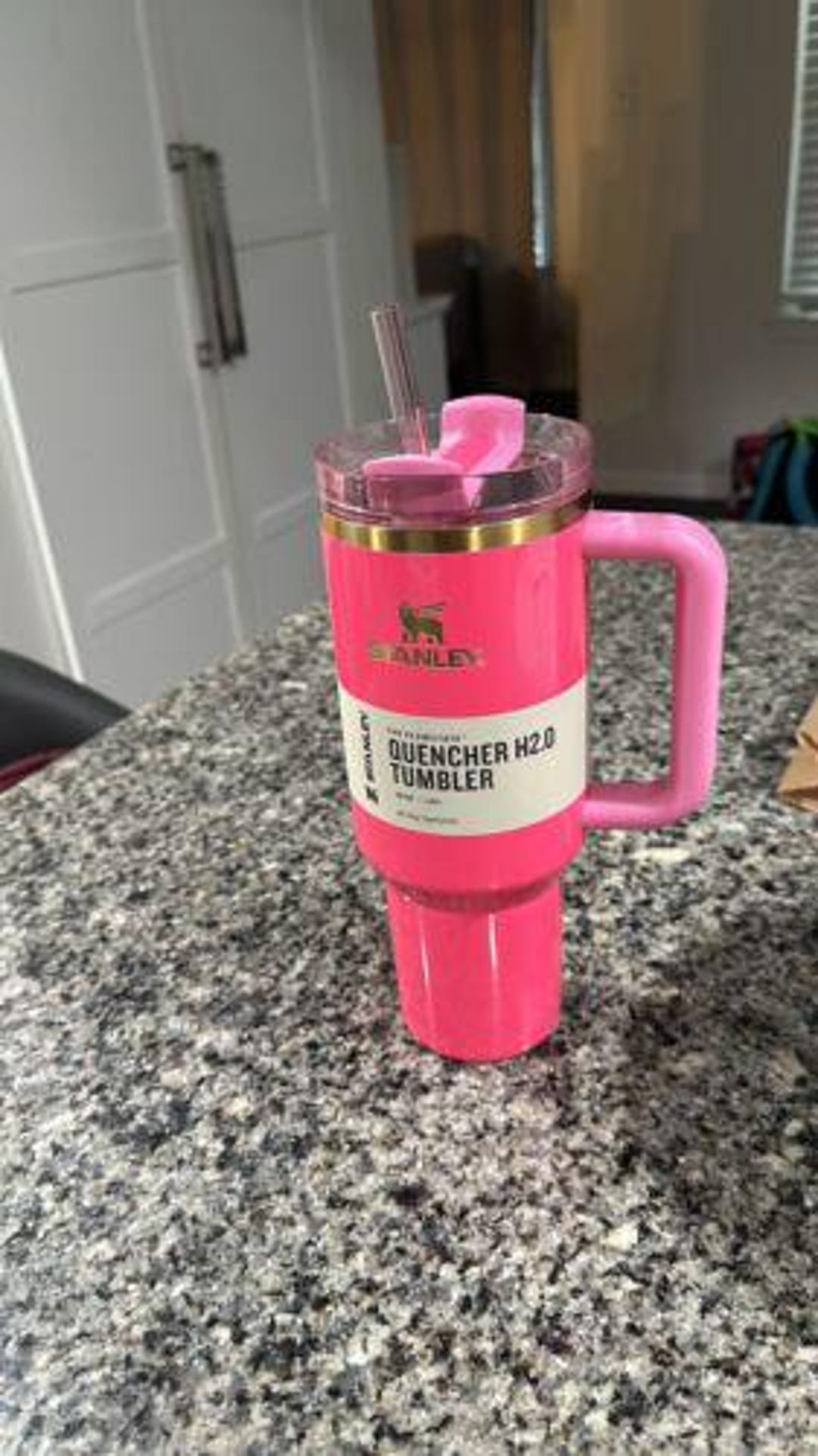 Custom Stanley Cup, Stanley Tumbler Elphaba Wicked,customizable Glinda ...