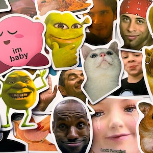 Pack of 50 Meme Stickers, Memes Sticker Pack, Waterproof Sticker Bundle ...