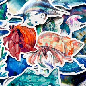 Pack of 50 Sea Life Stickers, Ocean Life Sticker Pack, Waterproof ...