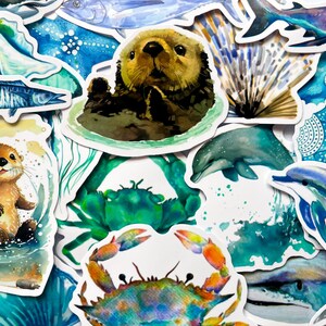 Pack of 50 Sea Life Stickers, Ocean Life Sticker Pack, Waterproof ...