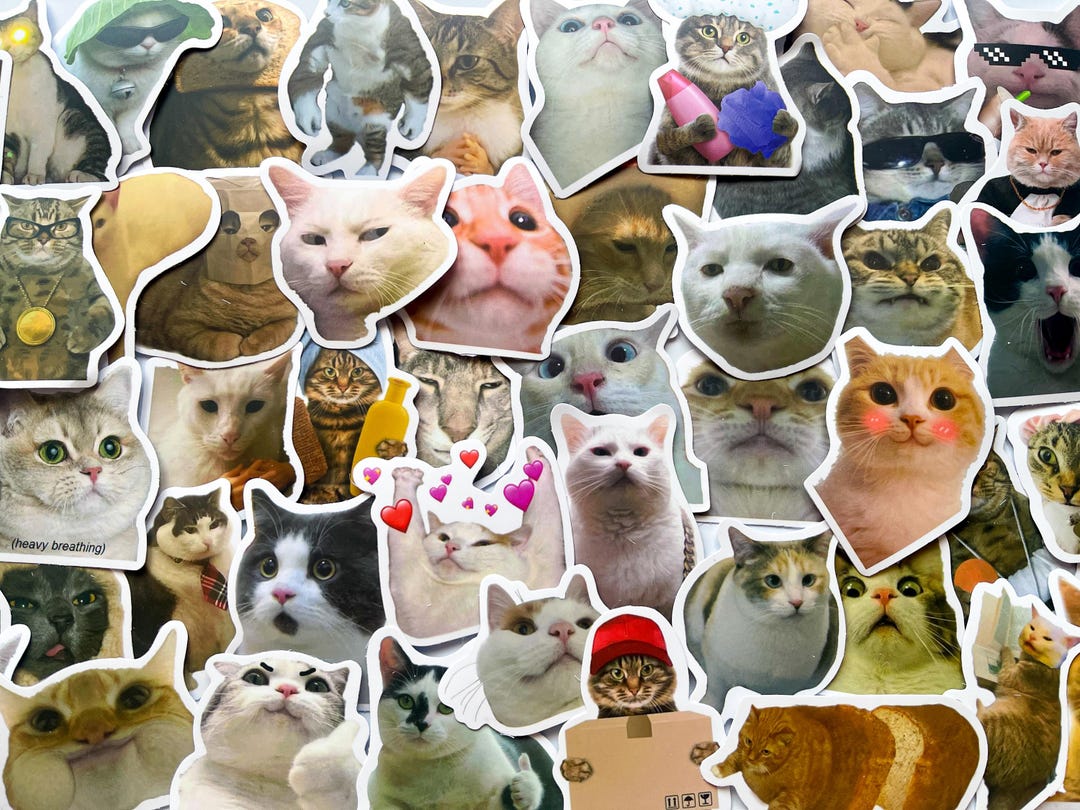 Pack of 50 Meme Cat Stickers, Memes Sticker Pack, Waterproof Sticker ...