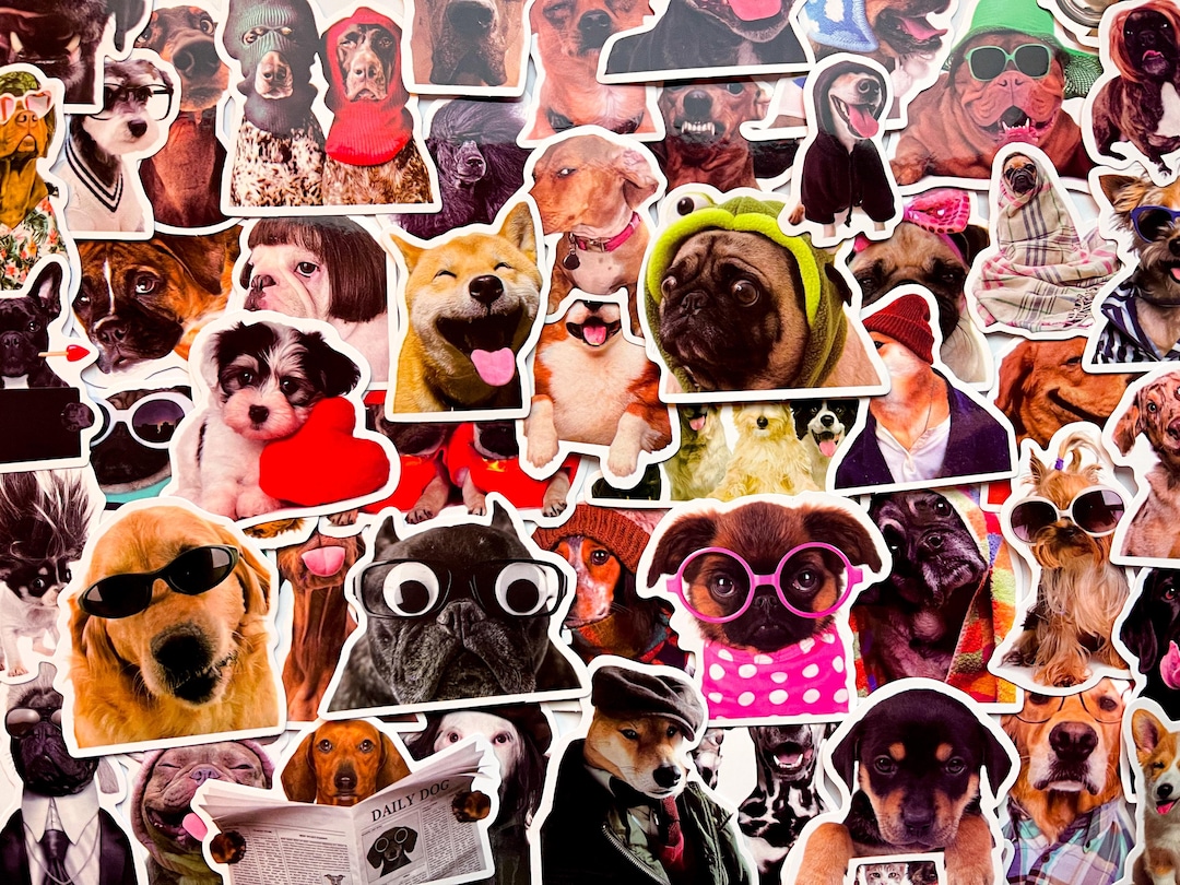 Pack of 50 Meme Dog Stickers, Memes Sticker Pack, Waterproof Sticker ...