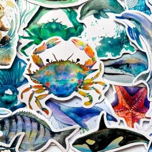 Pack of 50 Sea Life Stickers, Ocean Life Sticker Pack, Waterproof ...