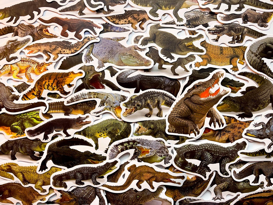 Pack of 50 Crocodile Stickers, Animal Sticker Pack, Waterproof Sticker ...