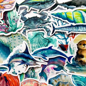 Pack of 50 Sea Life Stickers, Ocean Life Sticker Pack, Waterproof ...