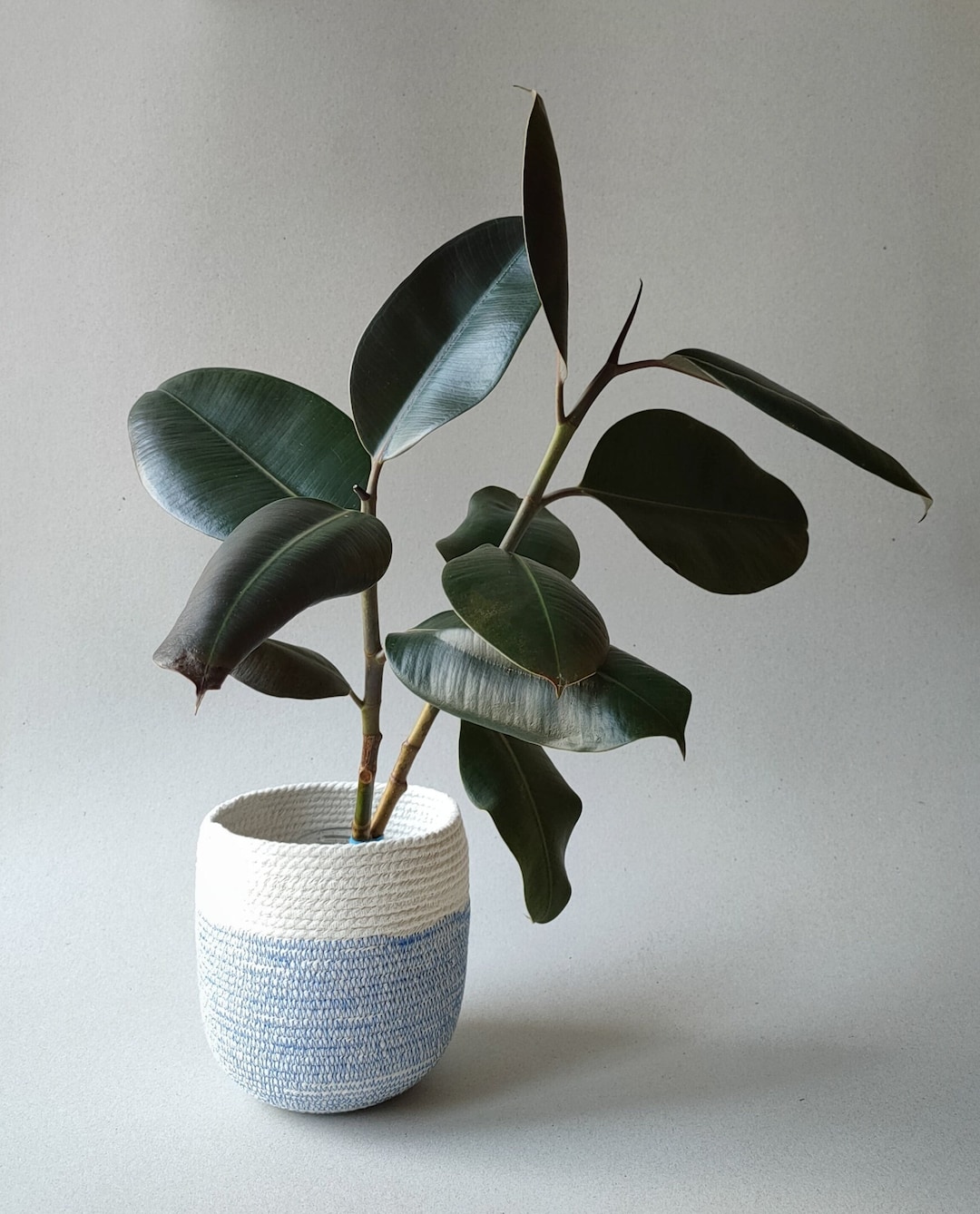 Cotton Rope Plant Pot Mediterranean Style - Two Sizes & Six Colors ...