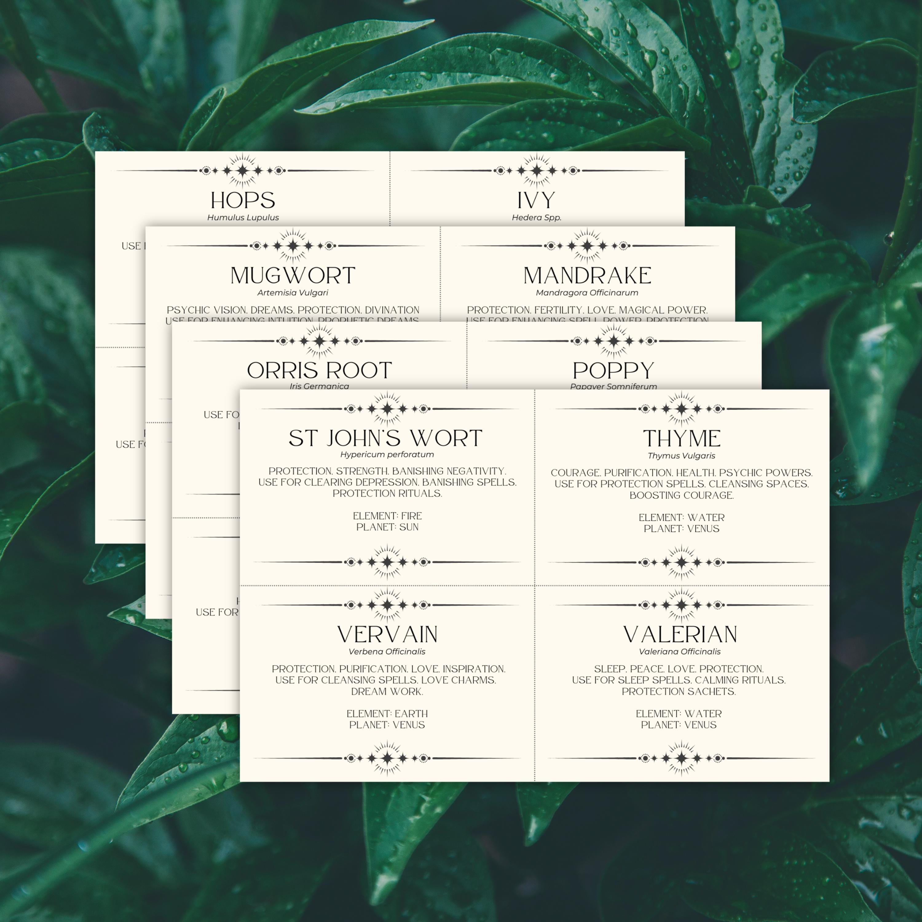Witch's Herb Labels Digital Download | Editable Canva Pro Template ...