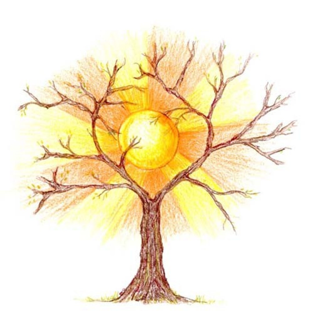 Tree of Life Note Card Blank Note Card Stationery Set - Etsy