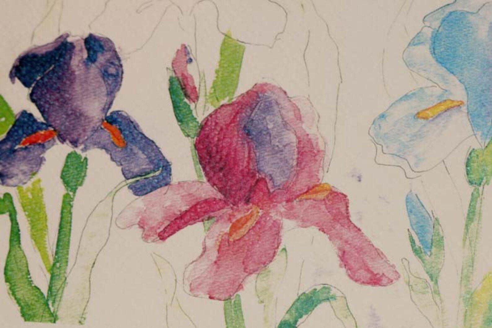 Field of Iris Note Cards Iris Note Cards Blank Cards Hand - Etsy