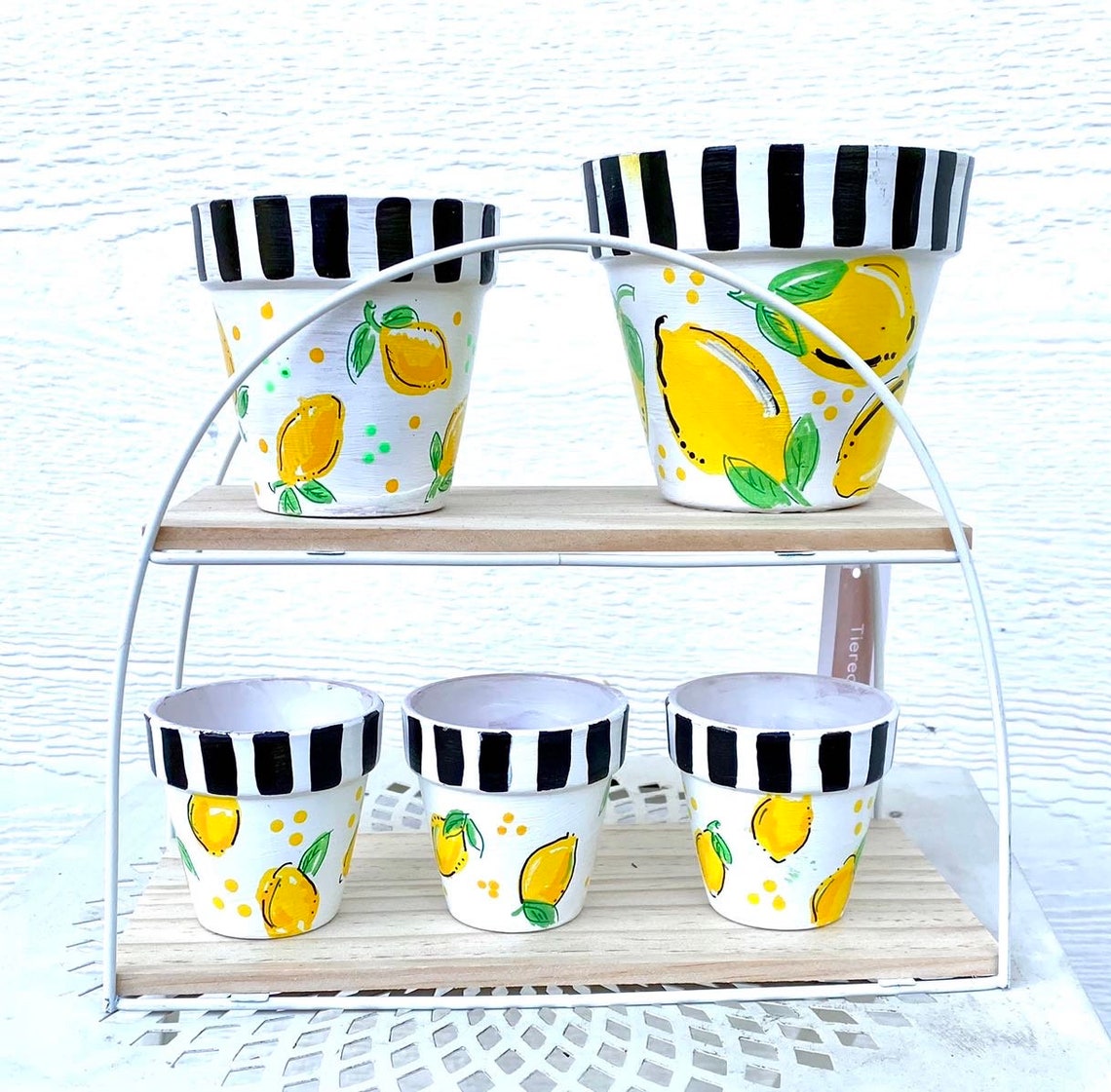 Hand Painted Terra Cotta Lemon Plant Pot, Whimsical Garden Decor - Etsy