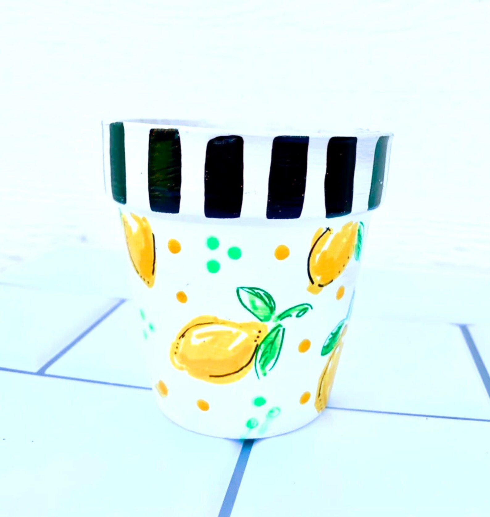 Hand Painted Terra Cotta Lemon Pot Garden Decor Summer Party | Etsy