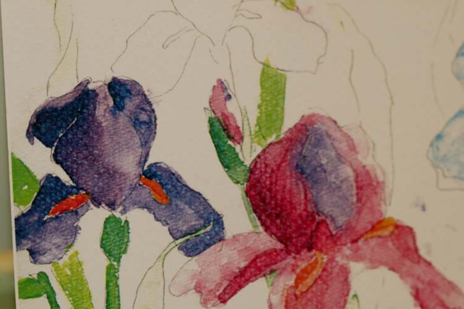 Field of Iris Note Cards Iris Note Cards Blank Cards Hand - Etsy