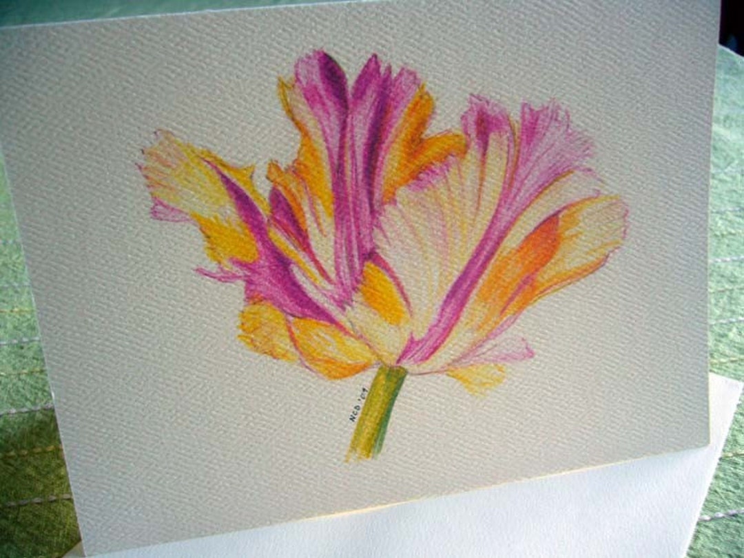 Parrot Tulips Note Cards Stationary Notecard Stationery - Etsy