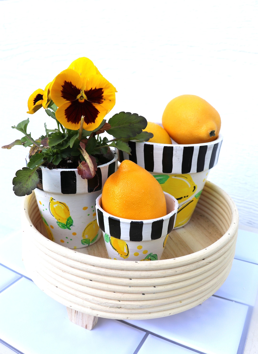 Hand Painted Terra Cotta Lemon Pot, Garden Decor, Summer Party ...