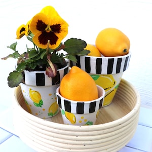 Hand Painted Terra Cotta Lemon Pot, Garden Decor, Summer Party ...