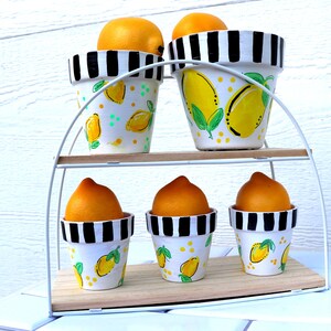 Hand Painted Terra Cotta Lemon Pot Garden Decor Summer Party | Etsy