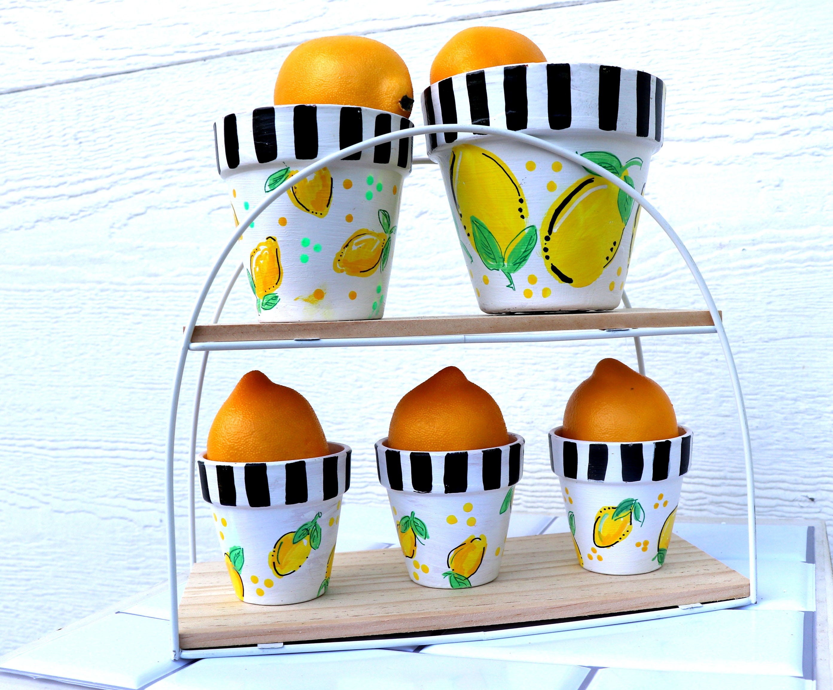 Hand Painted Terra Cotta Lemon Plant Pot, Whimsical Garden Decor - Etsy