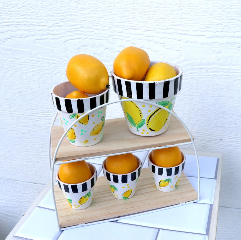 Hand Painted Terra Cotta Lemon Pot Garden Decor Summer Party | Etsy
