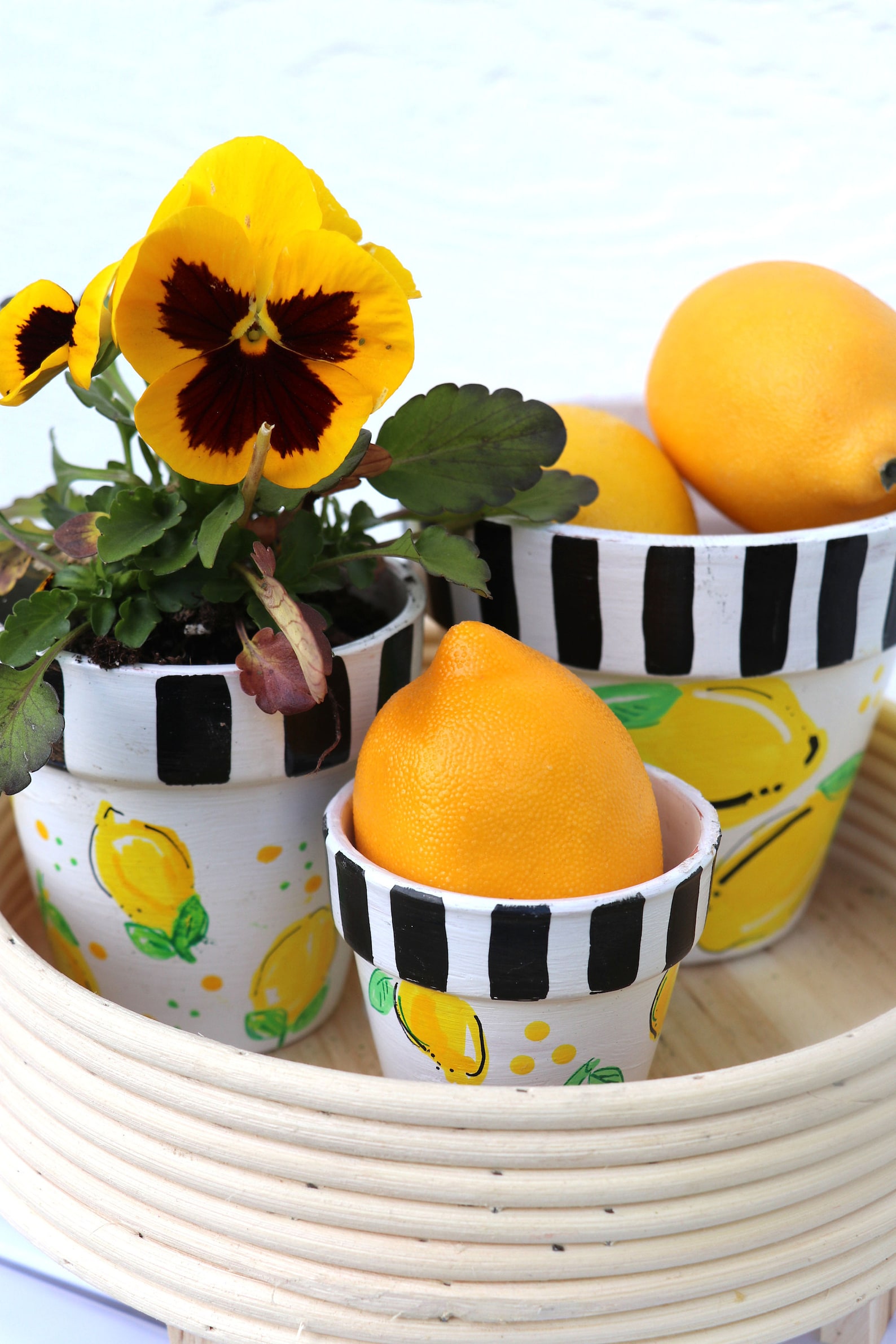 Hand Painted Terra Cotta Lemon Plant Pot, Whimsical Garden Decor - Etsy