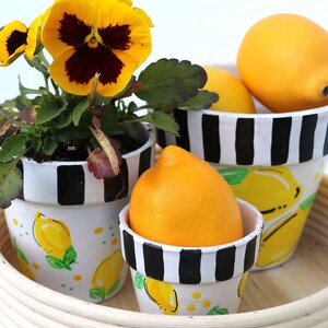 Hand Painted Terra Cotta Lemon Pot, Garden Decor, Summer Party ...