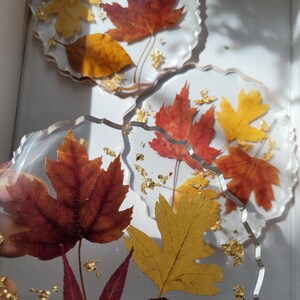 Autumn Leaf Coasters With Real Fall Leaves - Etsy