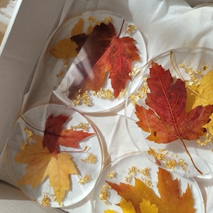 Autumn Leaf Coasters With Real Fall Leaves - Etsy