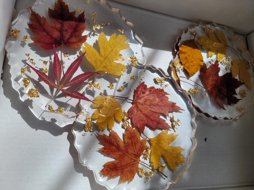 Autumn Leaf Coasters With Real Fall Leaves - Etsy