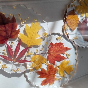 Autumn Leaf Coasters With Real Fall Leaves - Etsy