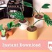 1/12 Scale Plants Design PRINTABLES Dollhouse Miniatures - Etsy