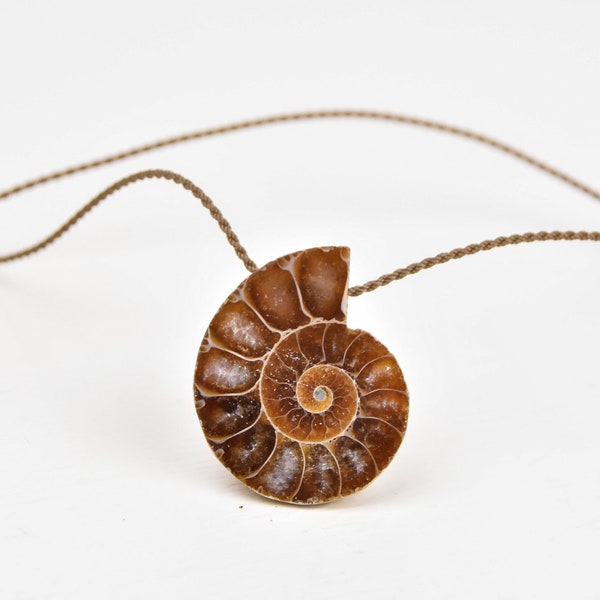 Ammonite Pendant - Etsy