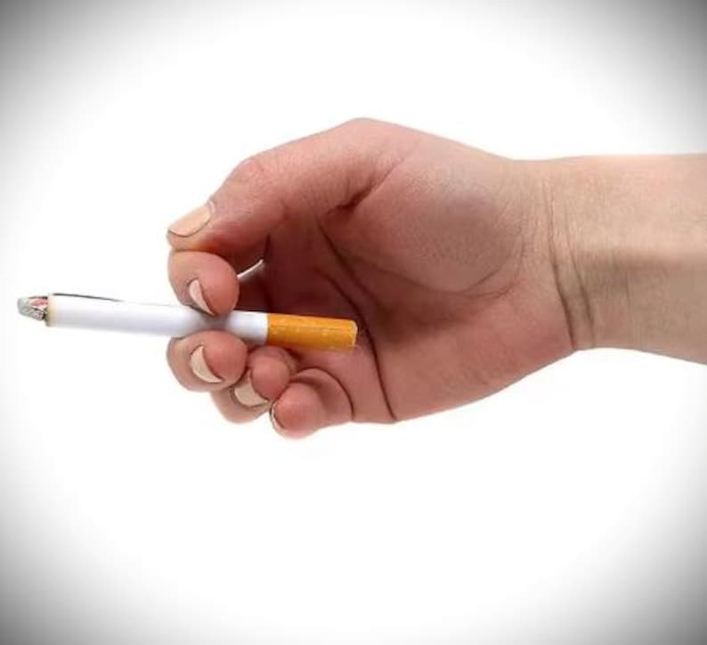 Fake Cigarettes 2pcs Realistic Prop for Pranks & Costume Accessories ...