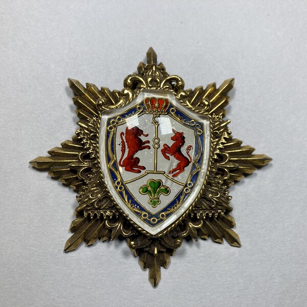 Lion Crest Brooch - Etsy