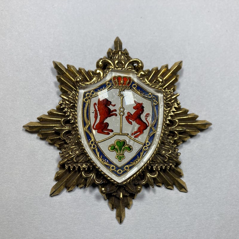Lion Crest Brooch - Etsy