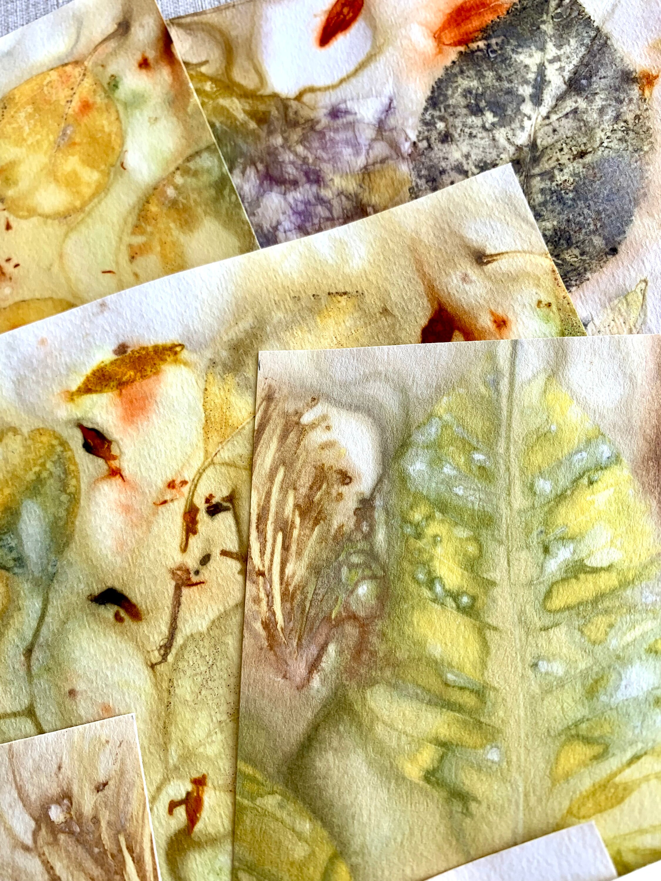 Eco Printed Paper Pack 13 10 Pages Watercolor Paper-flower - Etsy