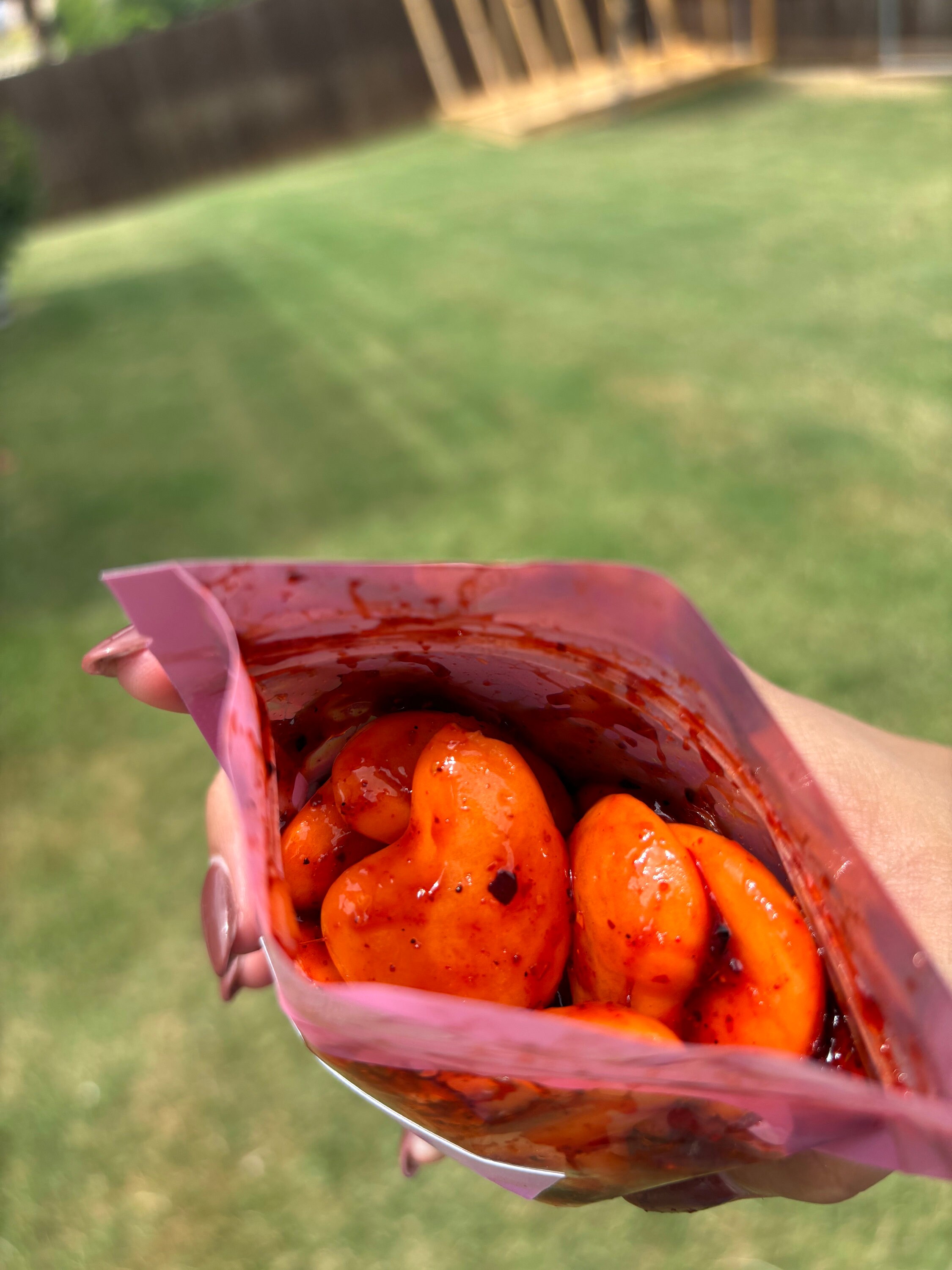 Chamoy Spicy Mango Candy, Dulces Enchilados, Mexican Snacks, Anillos De ...