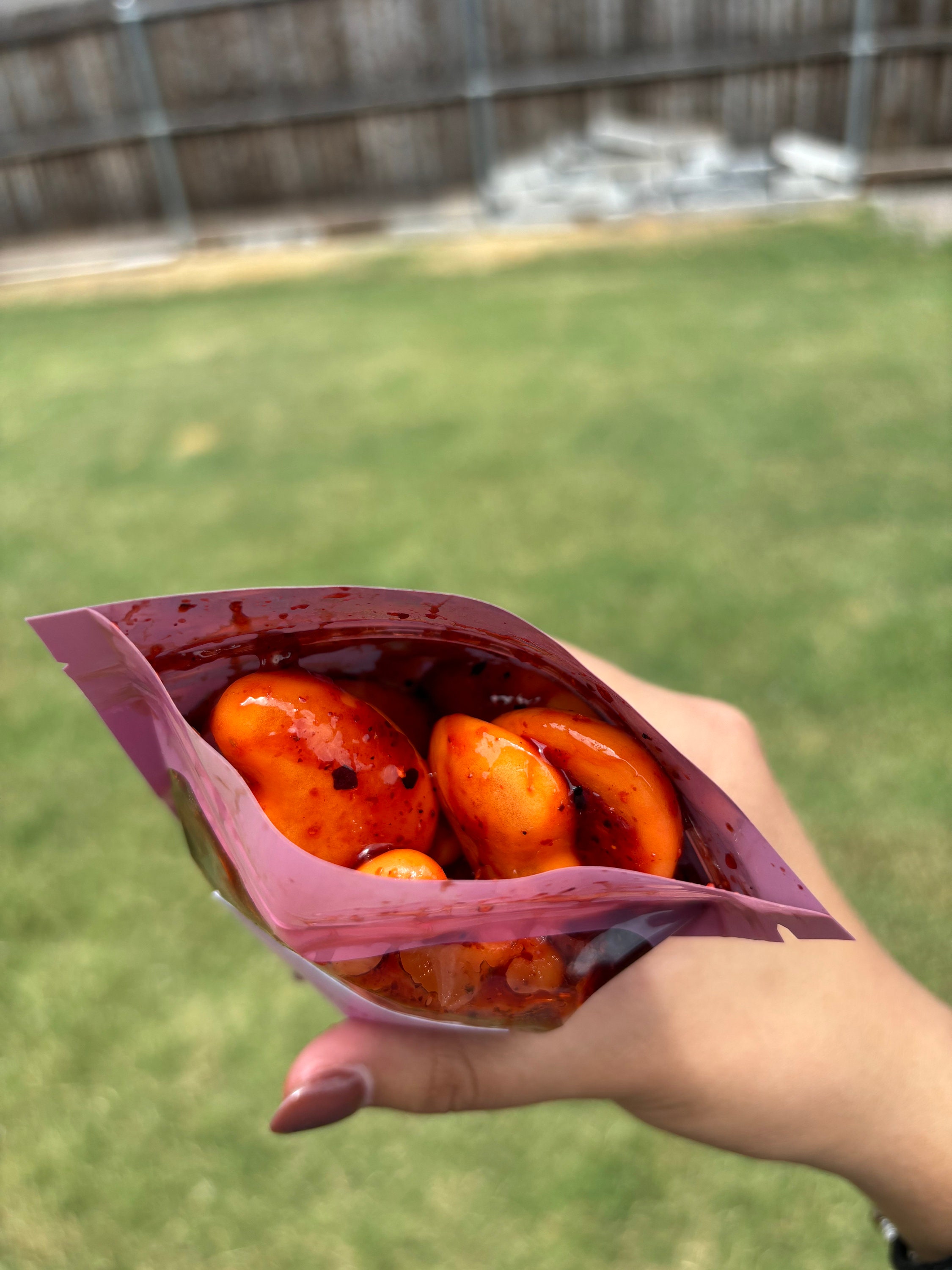 Chamoy Spicy Mango Candy, Dulces Enchilados, Mexican Snacks, Anillos De ...