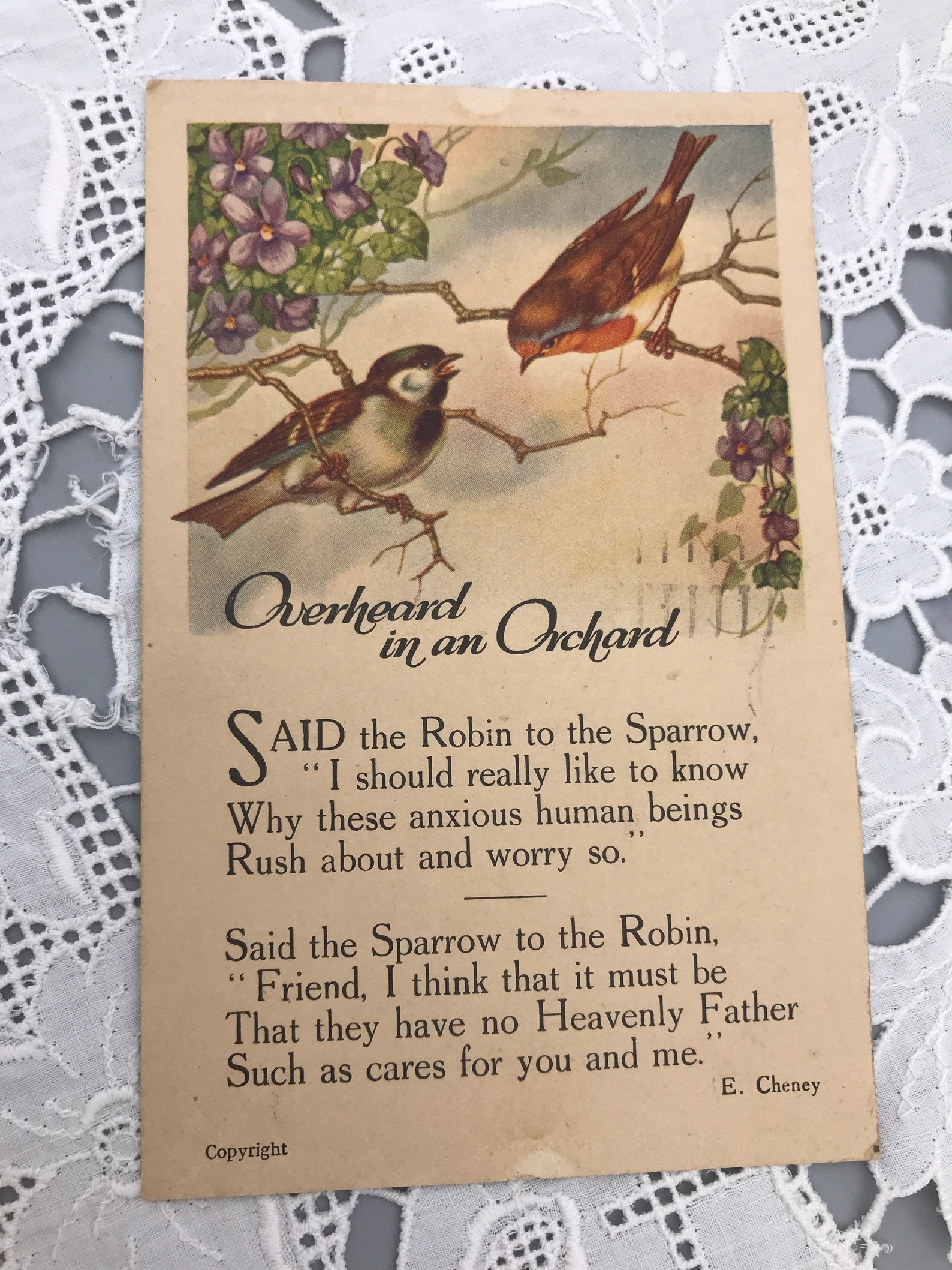 Collection of Edwardian Vintage Cards With Birds - Etsy UK